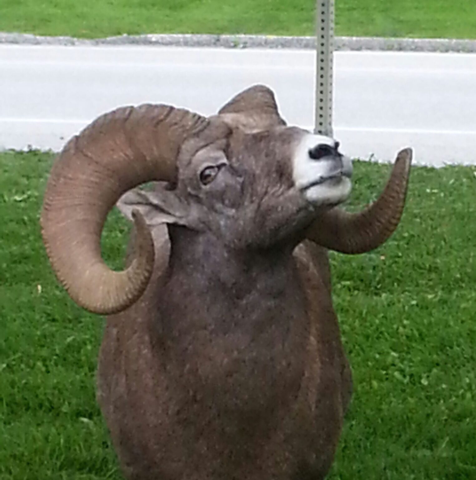 Dry Gulch - Go Camping BC