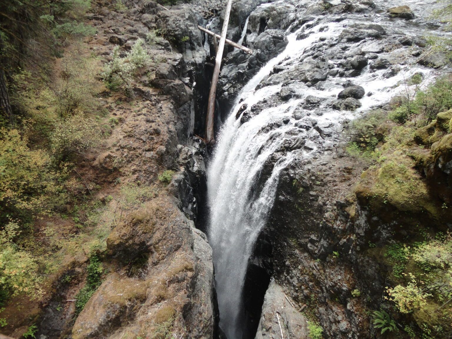 Englishman River Falls - Go Camping BC
