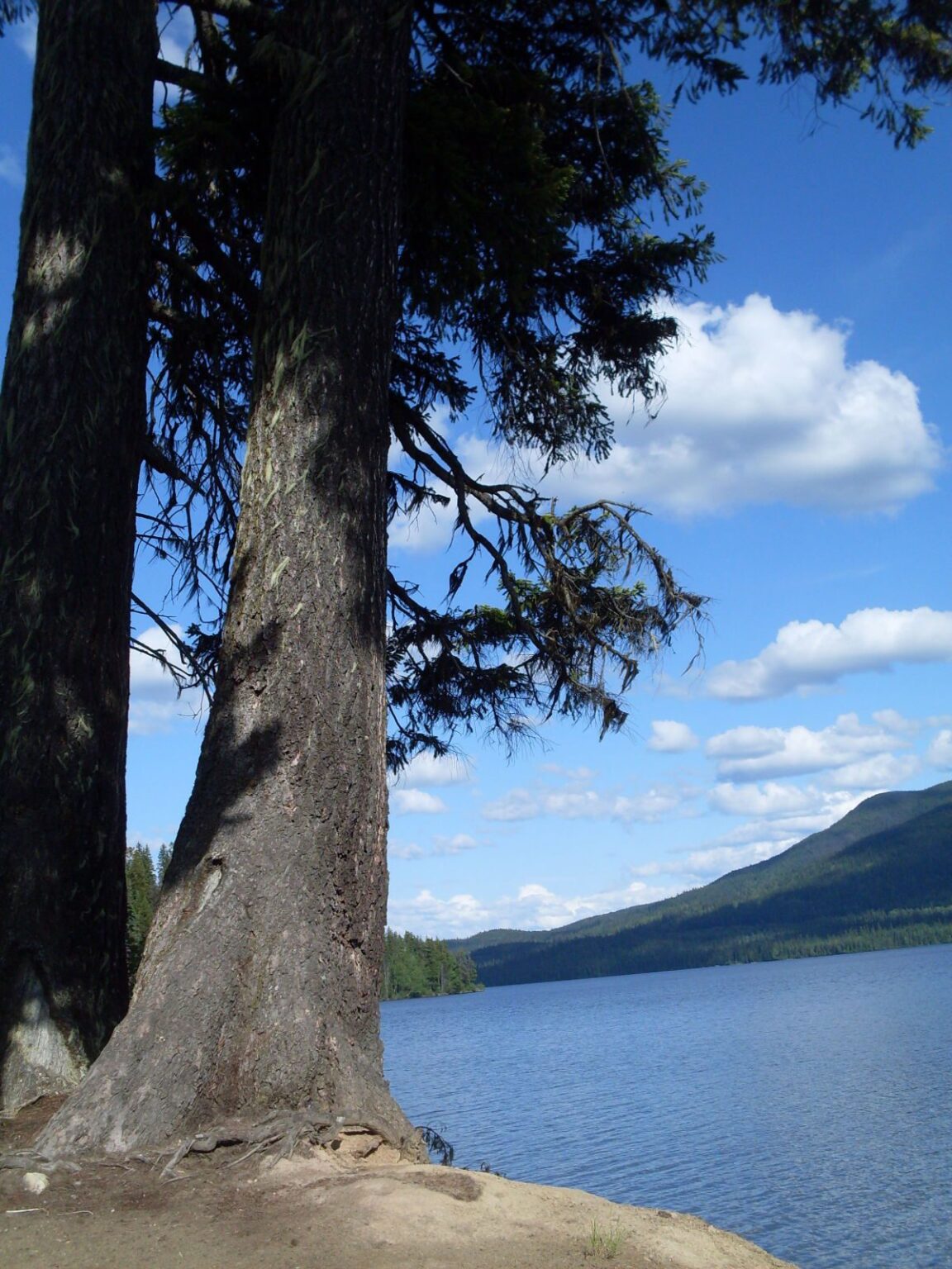 Purden Lake - Go Camping BC