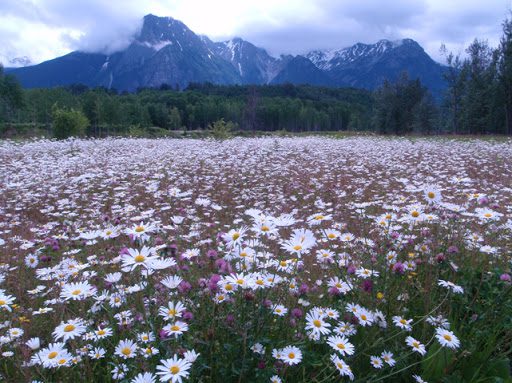 Anderson Flats - Go Camping BC